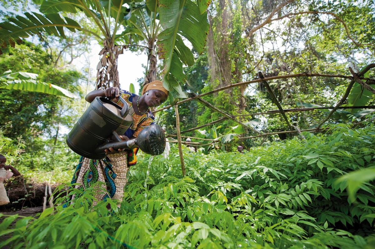The African Opportunity: focusing on food can cement a leadership role ...