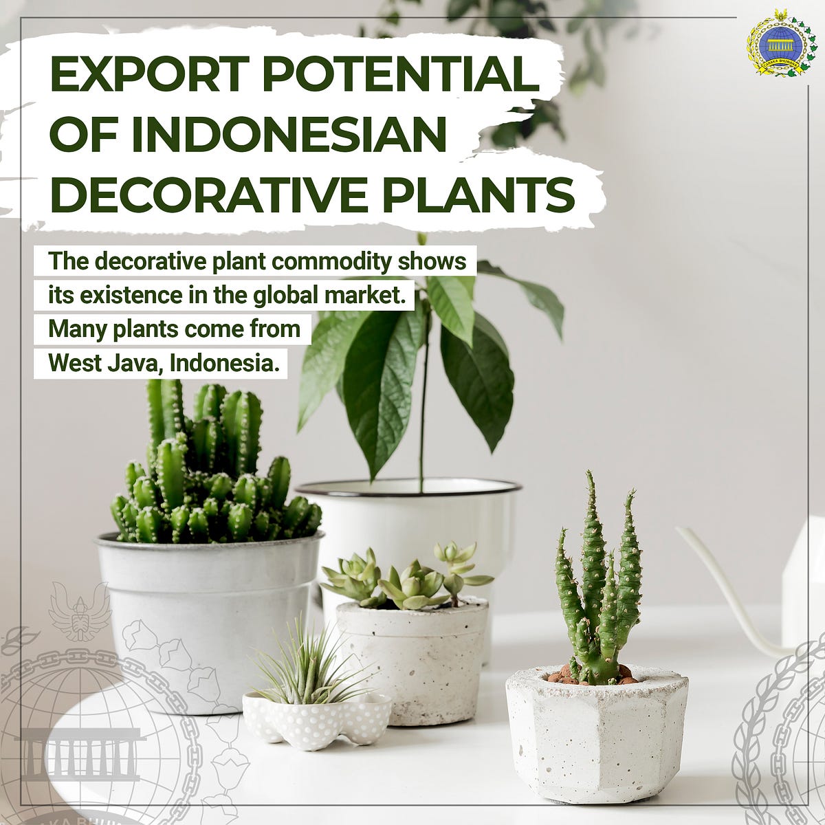 Decorative Plants, Potensi Ekspor dari Indonesia - Achmadsoheh - Medium