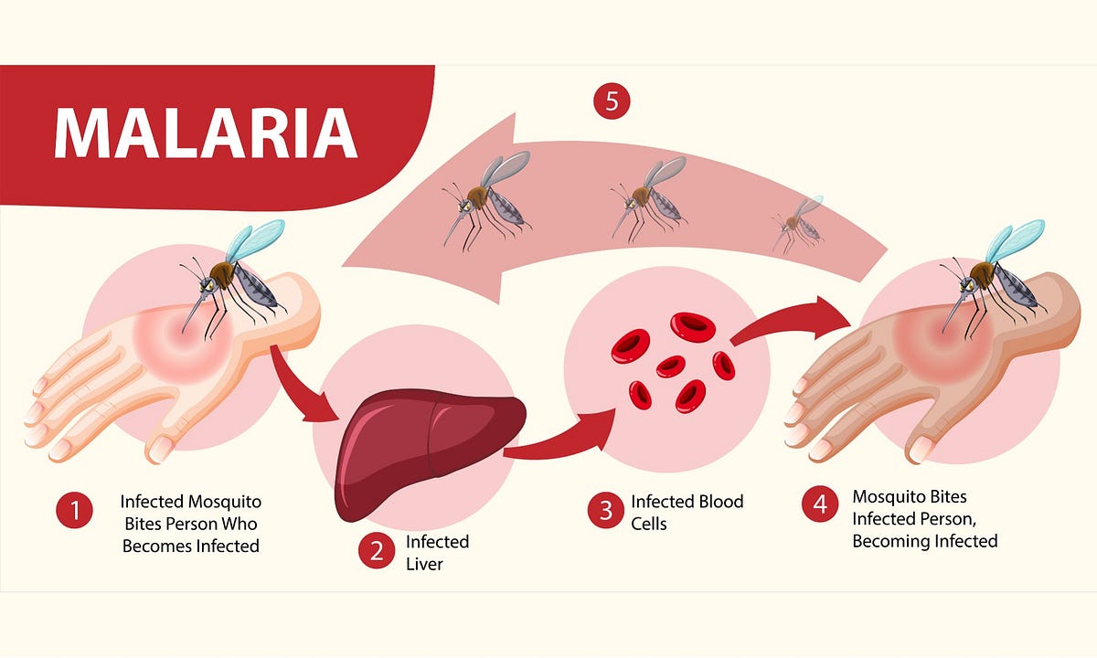 Kondisi Malaria di Pulau Jawa Tahun 2021 | by Azzahra Shafira Salsa ...