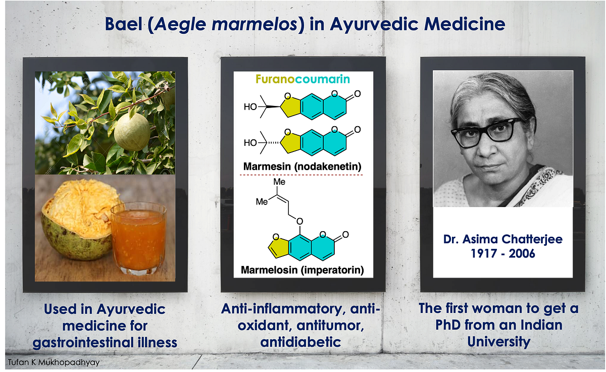 Phytochemistry — Bael (Aegle marmelos)– an Ayurvedic medicinal plant ...