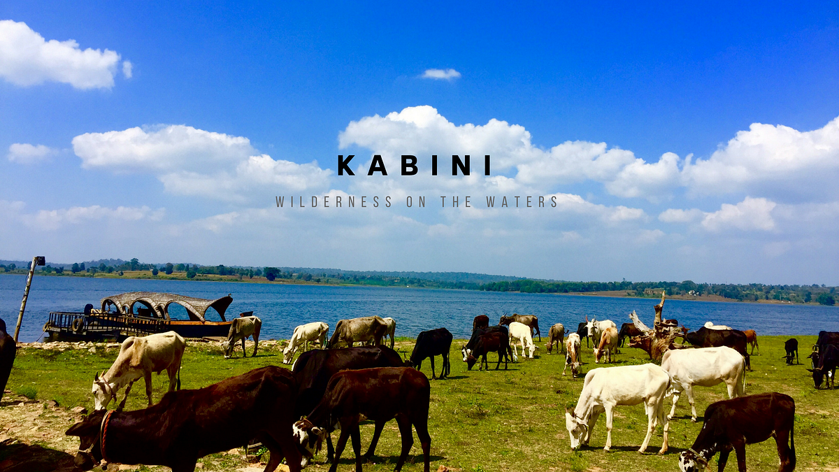 Kabini: Wilderness on the Waters. Wildlife Weekend at Kabini | by Myoki ...