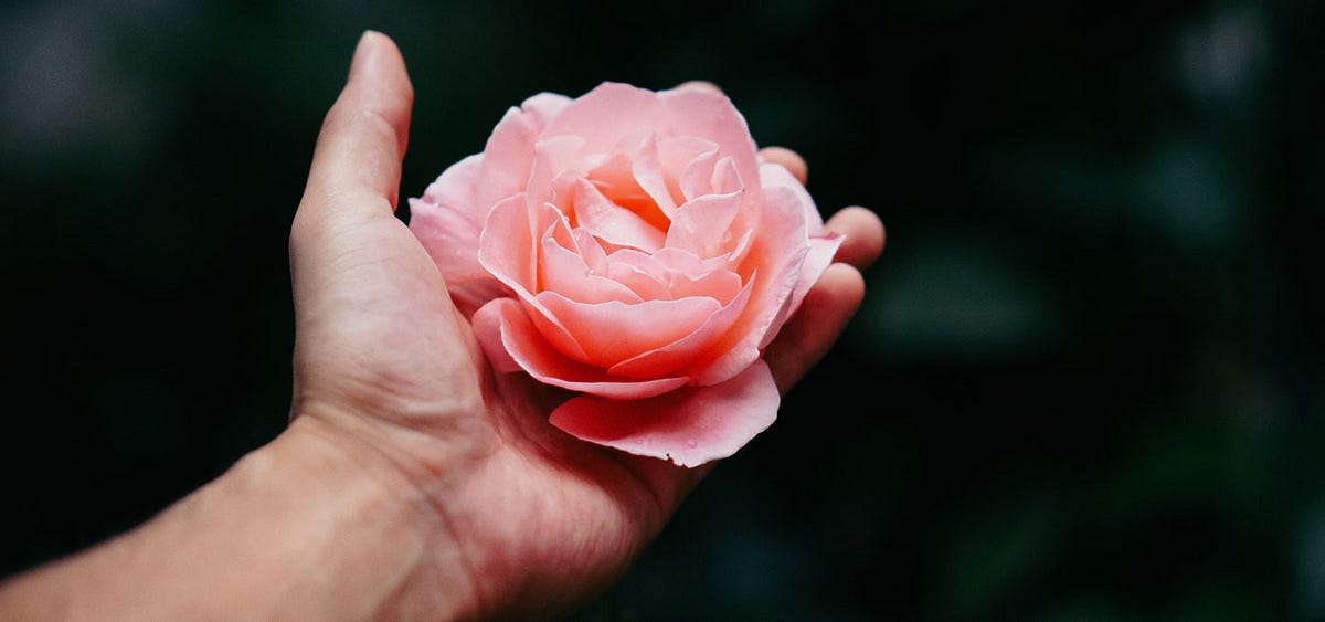 Extended love. “We are not held back by the love we… | by Alex Mill ...