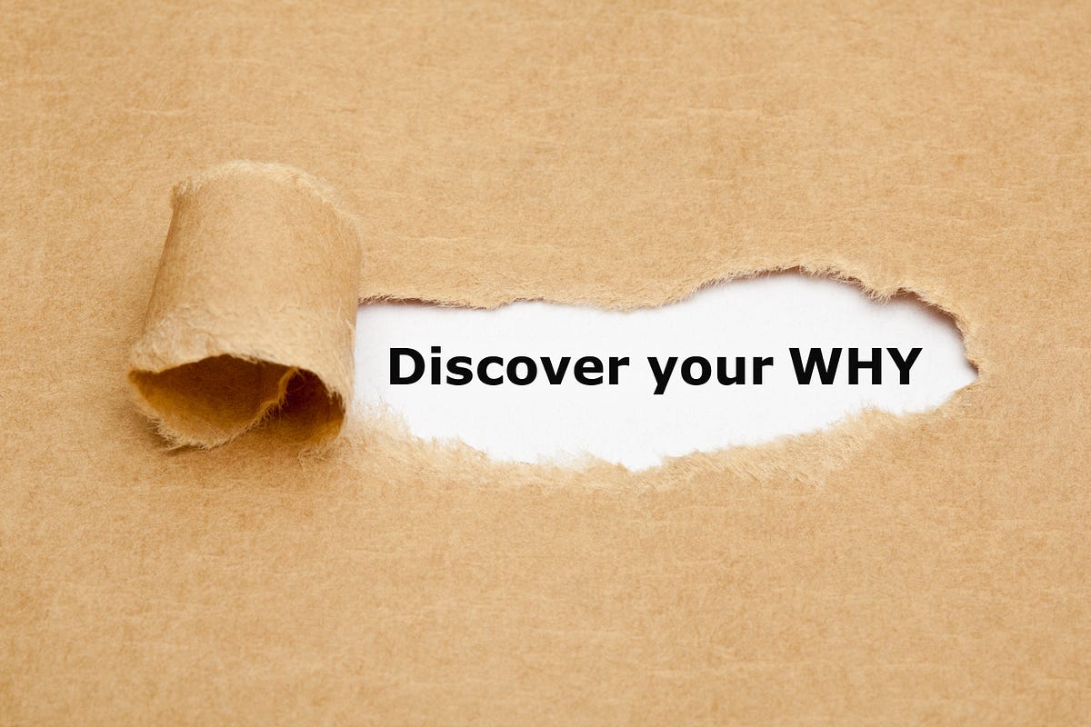 Learning with a purpose. During my career, I’ve worked with… | by ...