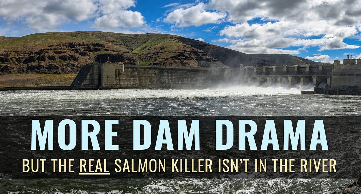 More Dam Drama: Lawsuit targets Northwest’s hydropower lifeline — but ...