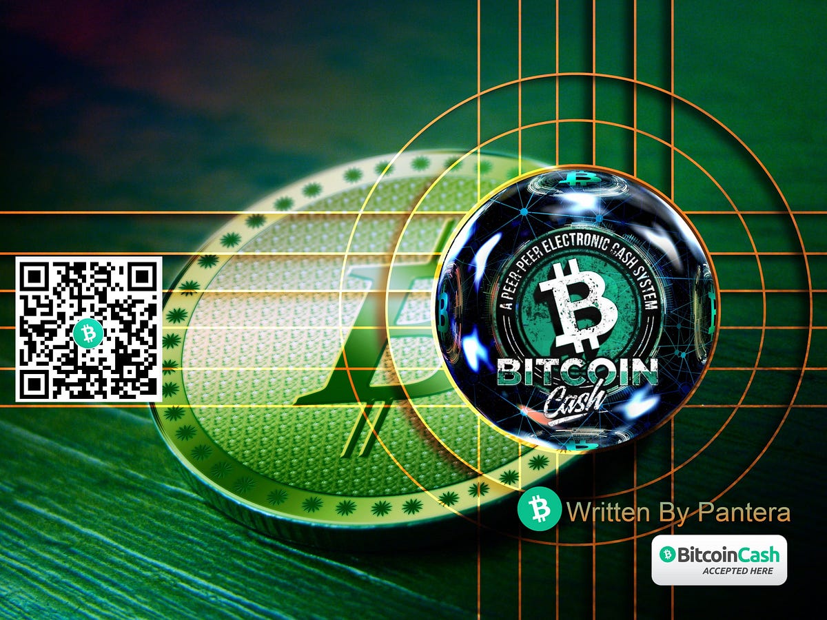 Famous INVESTOR Tim Draper APPROVES This POPULAR Cryptocurrency! | by ...