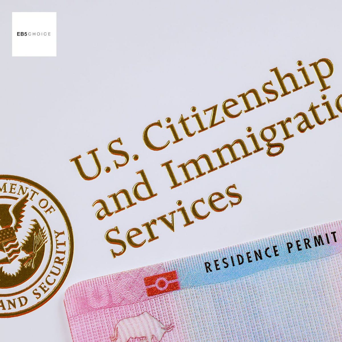 U.S. Citizenship vs Permanent Residency: Benefits, Rights, and ...