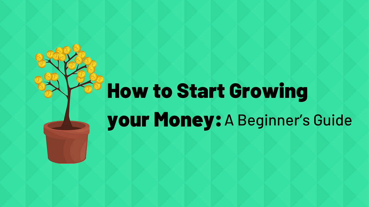 How to Start Growing your Money: A Beginner’s Guide | by Finin ...