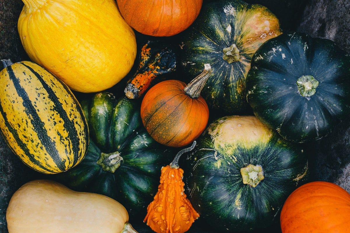 October Is the Best Month of the Year | by Gaby Rogut | Musing About ...