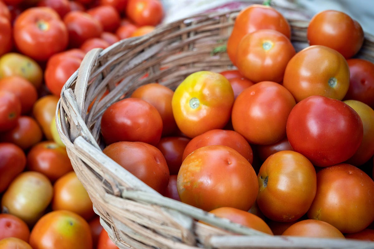 Tomato — A Centerpiece of Indian Cooking | by CCEditors | Cutting Chai ...