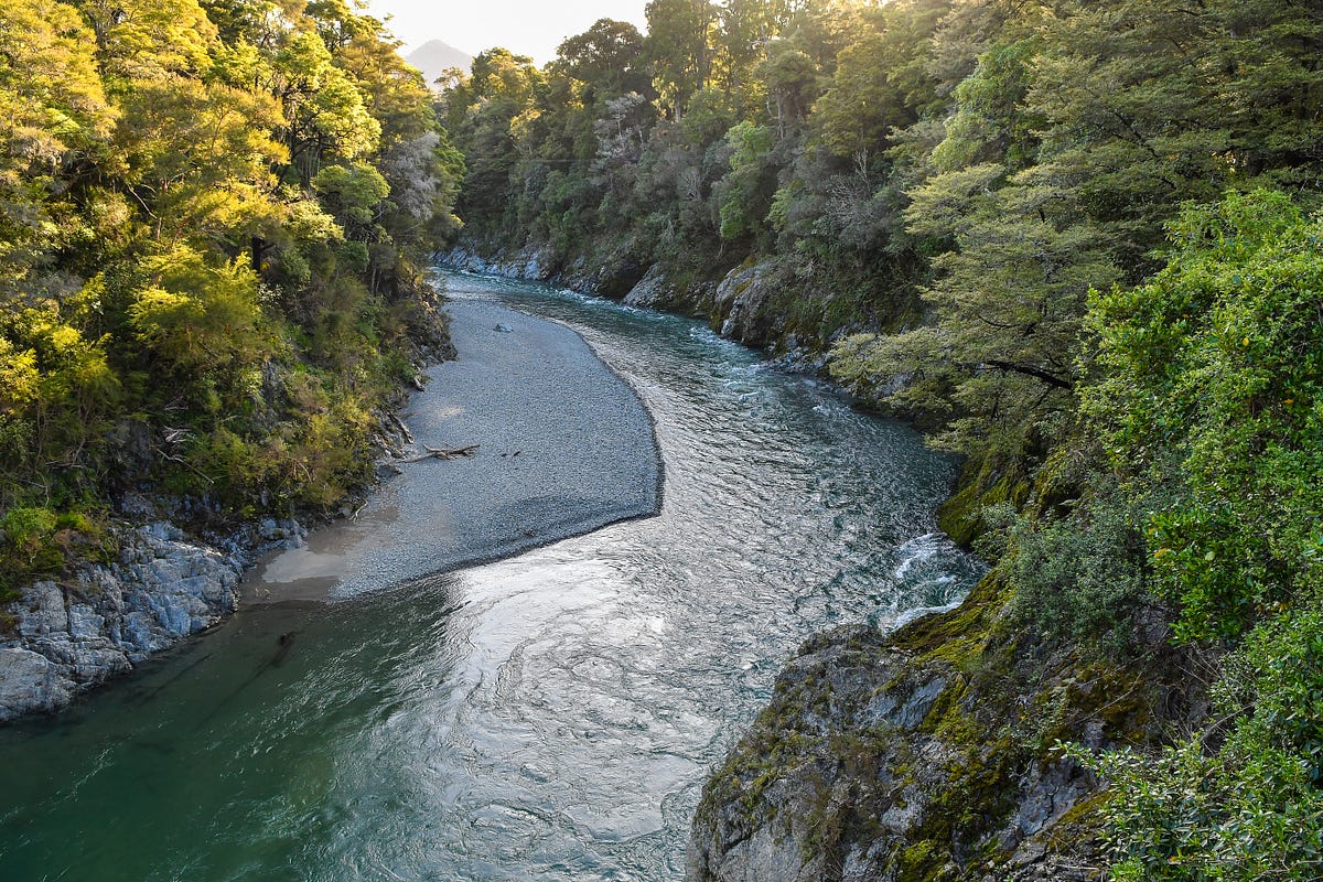 Take Me to the River. Stepping into the flow and going deeper… | by ...