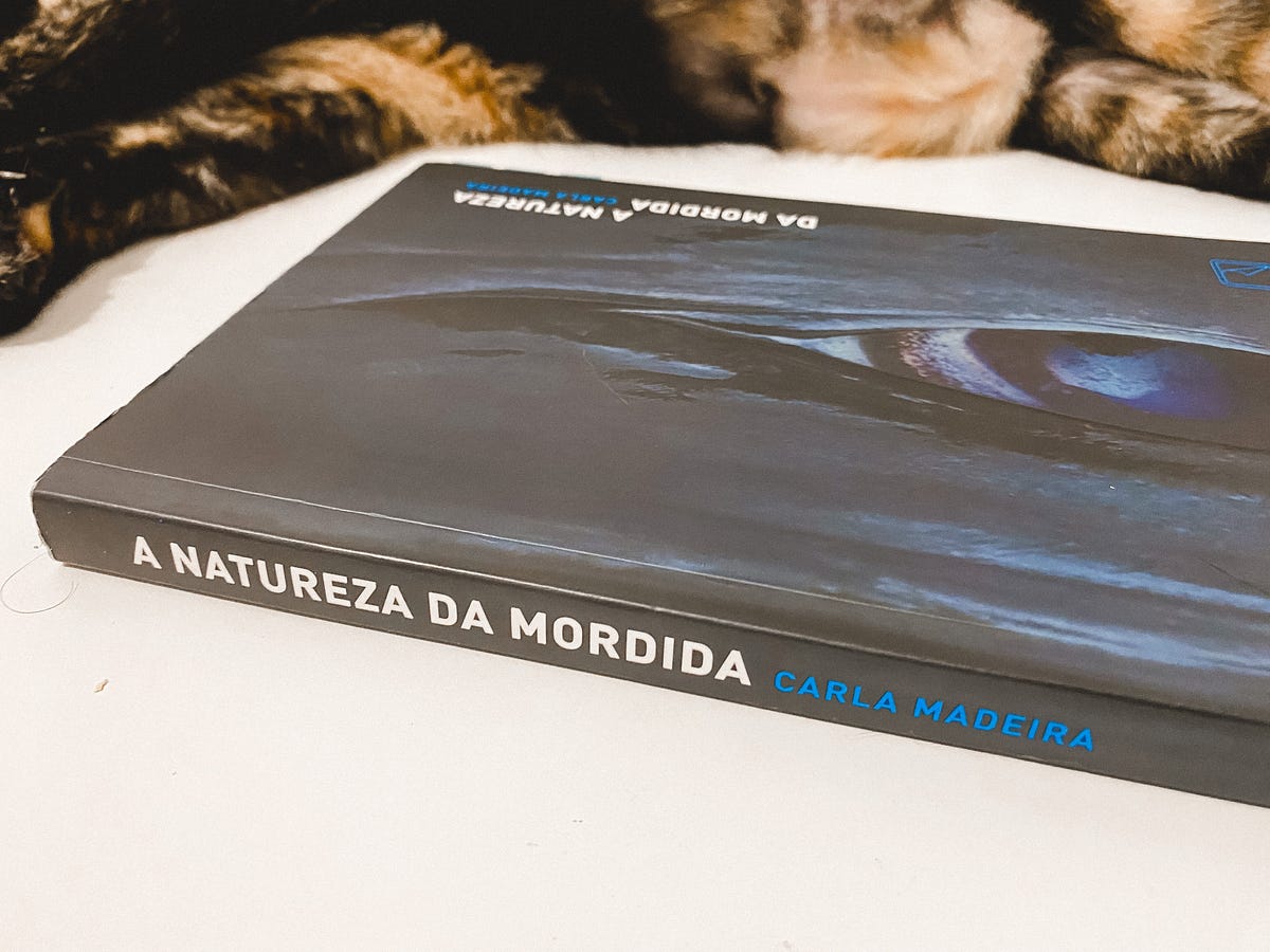 A natureza da mordida, de Carla Madeira | by Natally Acioli | Medium