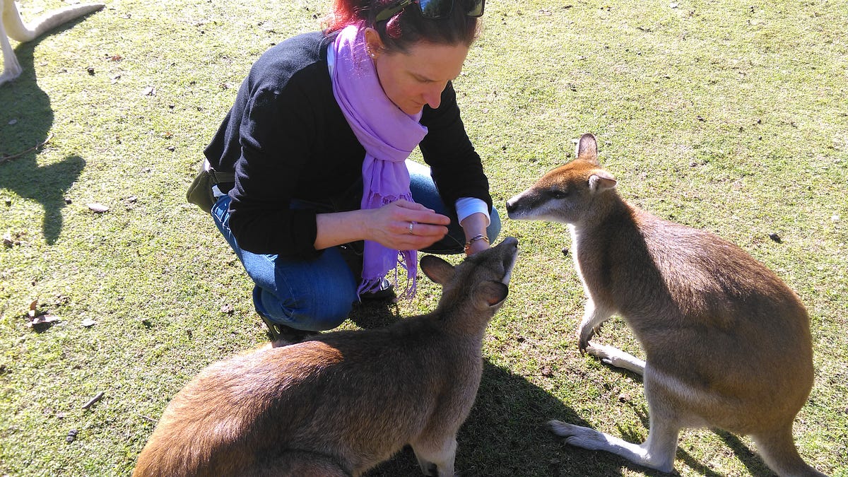 Vanessa’s Excellent Animal Adventures | by Vanessa Brown | In Living ...