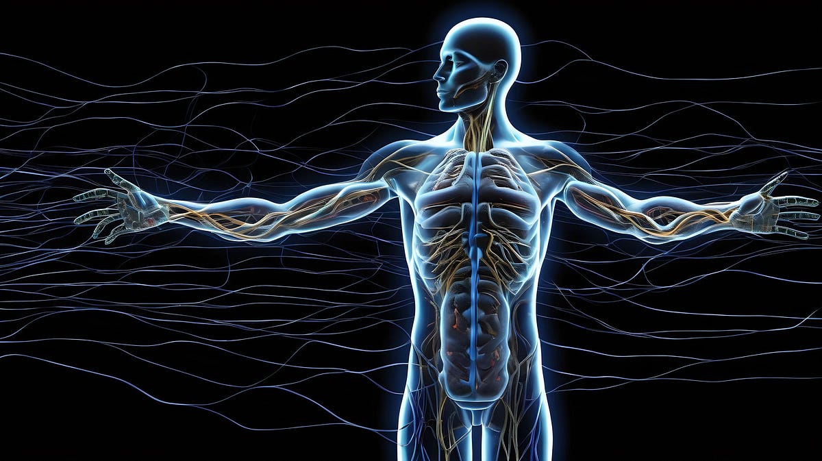 5 Somatic Therapy Exercises You Can Do at Home to Release Trauma | by ...