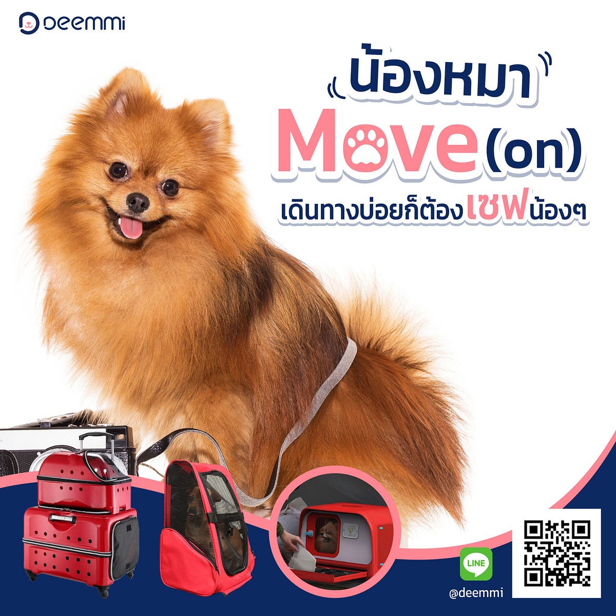 เรามา Move On ไปพร้อม ๆ กับน้องหมากัน | Deemmi - Deemmi Pets - Medium