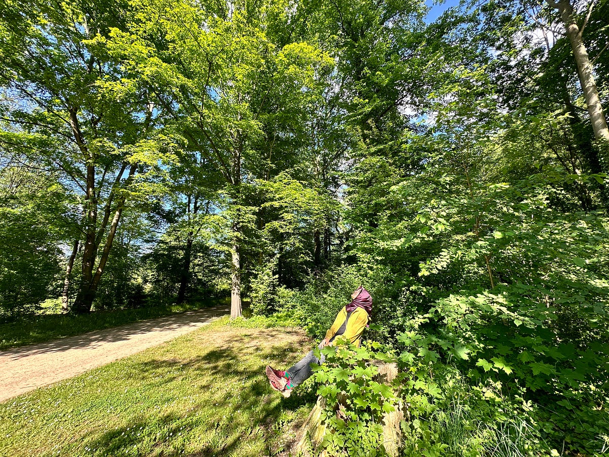 YAZ - Türkiye Yayını