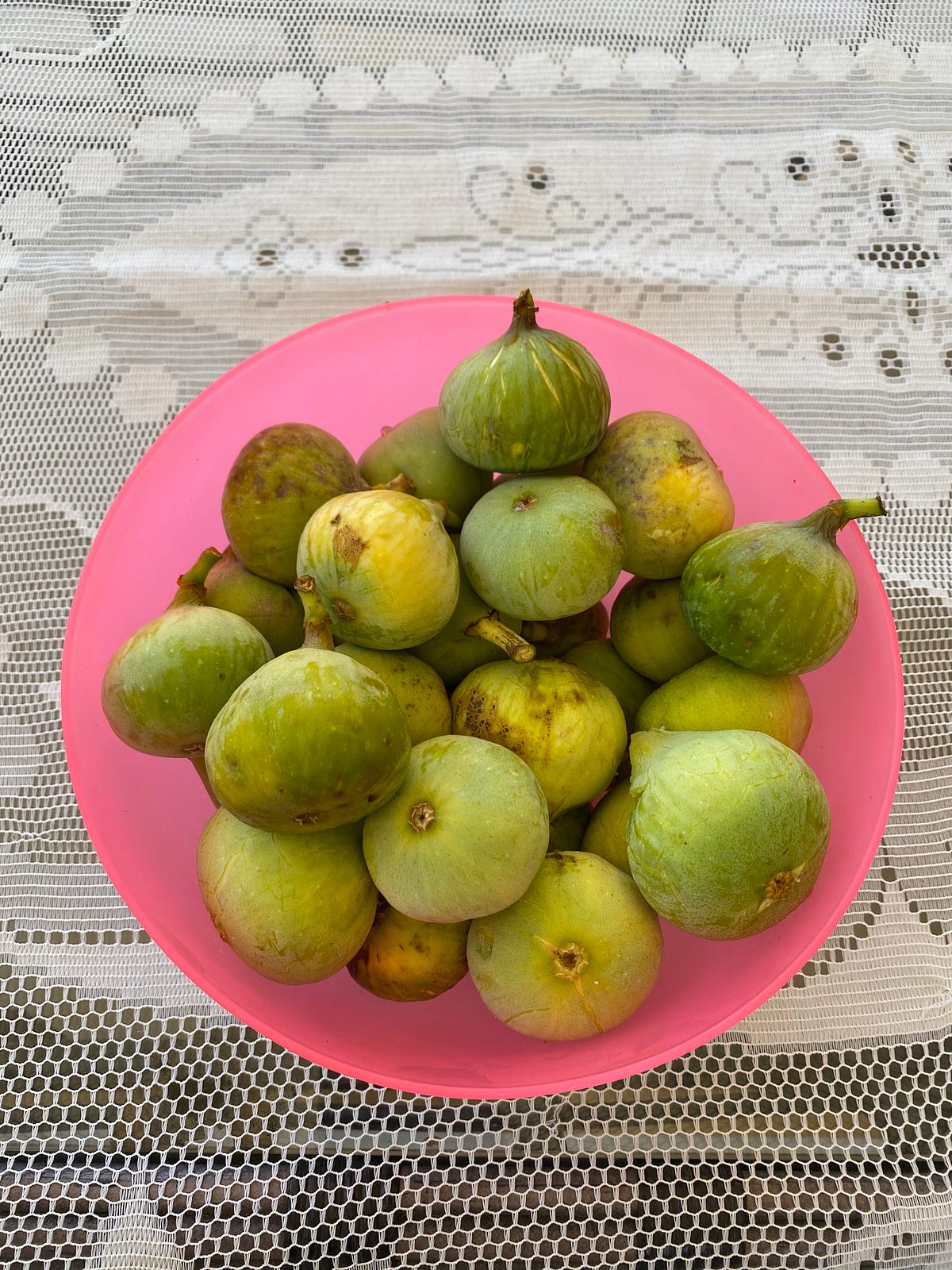 Acrostic: Figs. In the summer the sun bounced off the… | by Rawan | Medium