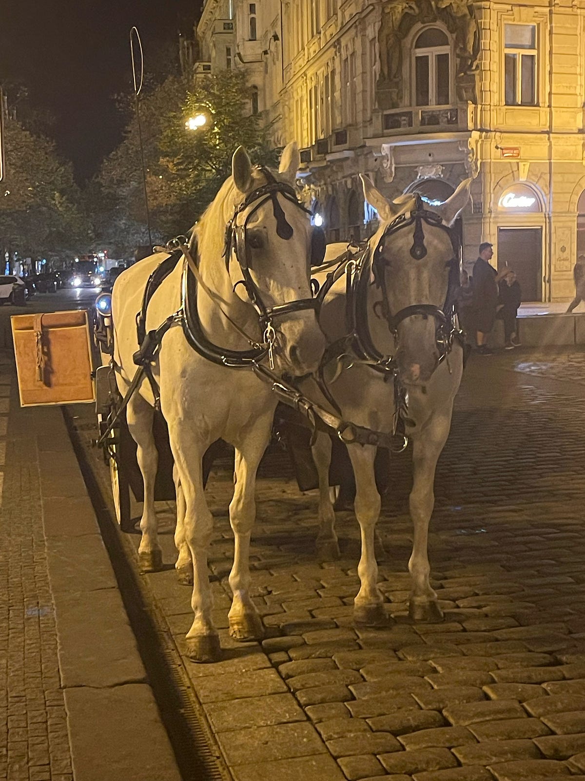 Some Quirky Modes of Transport in Praha (Prague) | by Gauri Sirur | Simply Photos | Sep, 2025 ...