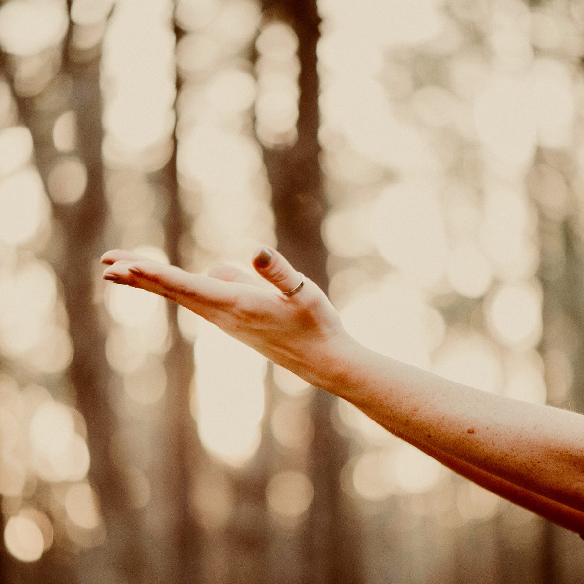 Mindfulness to cherish most. A mindful way can put a cherishing… | by ...