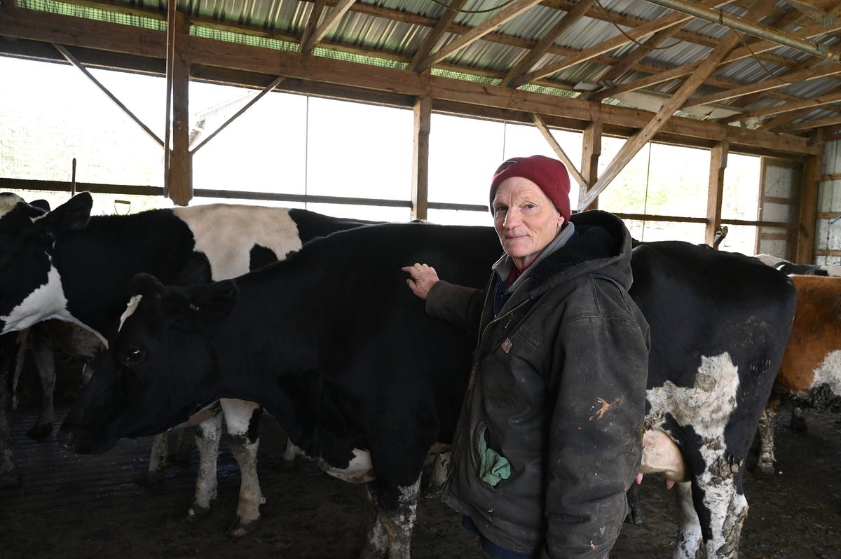 From Chipping Wood to Milking Cows | by Sophia LaGrasso | Medium