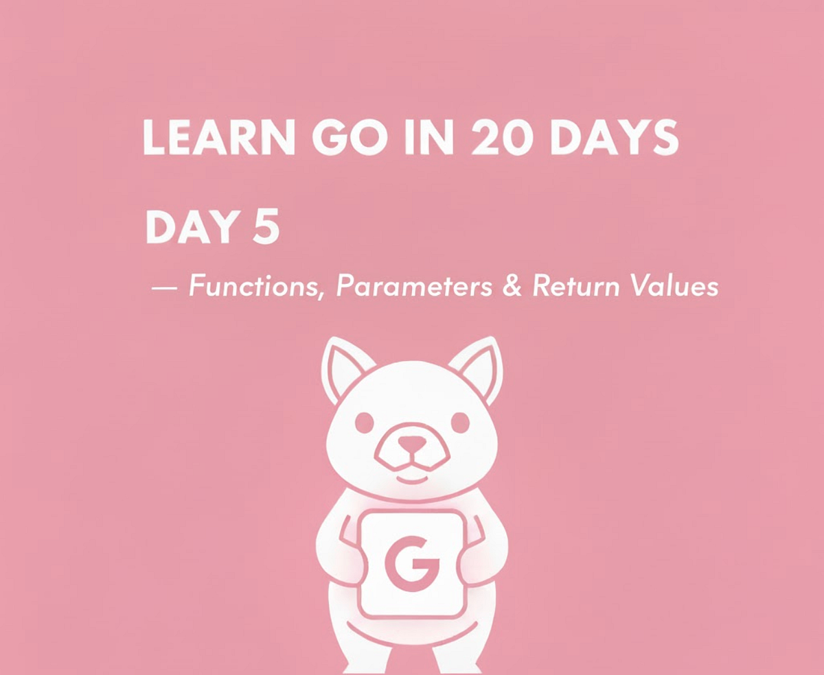 Learn Go in 20 Days: Day 5 — Functions, Parameters & Return Values | by ...