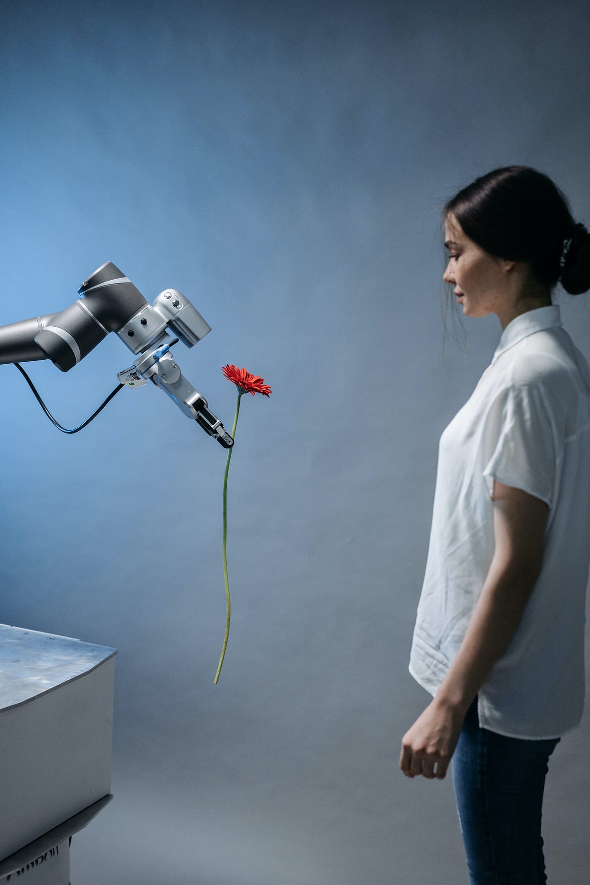 Neural networks: ce qu’ils m’ont appris sur mes propres biais — Nelly Cornejo | by AI for ...