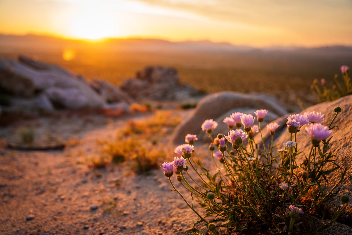 The Sensations and Sights in Spring | Full Frame