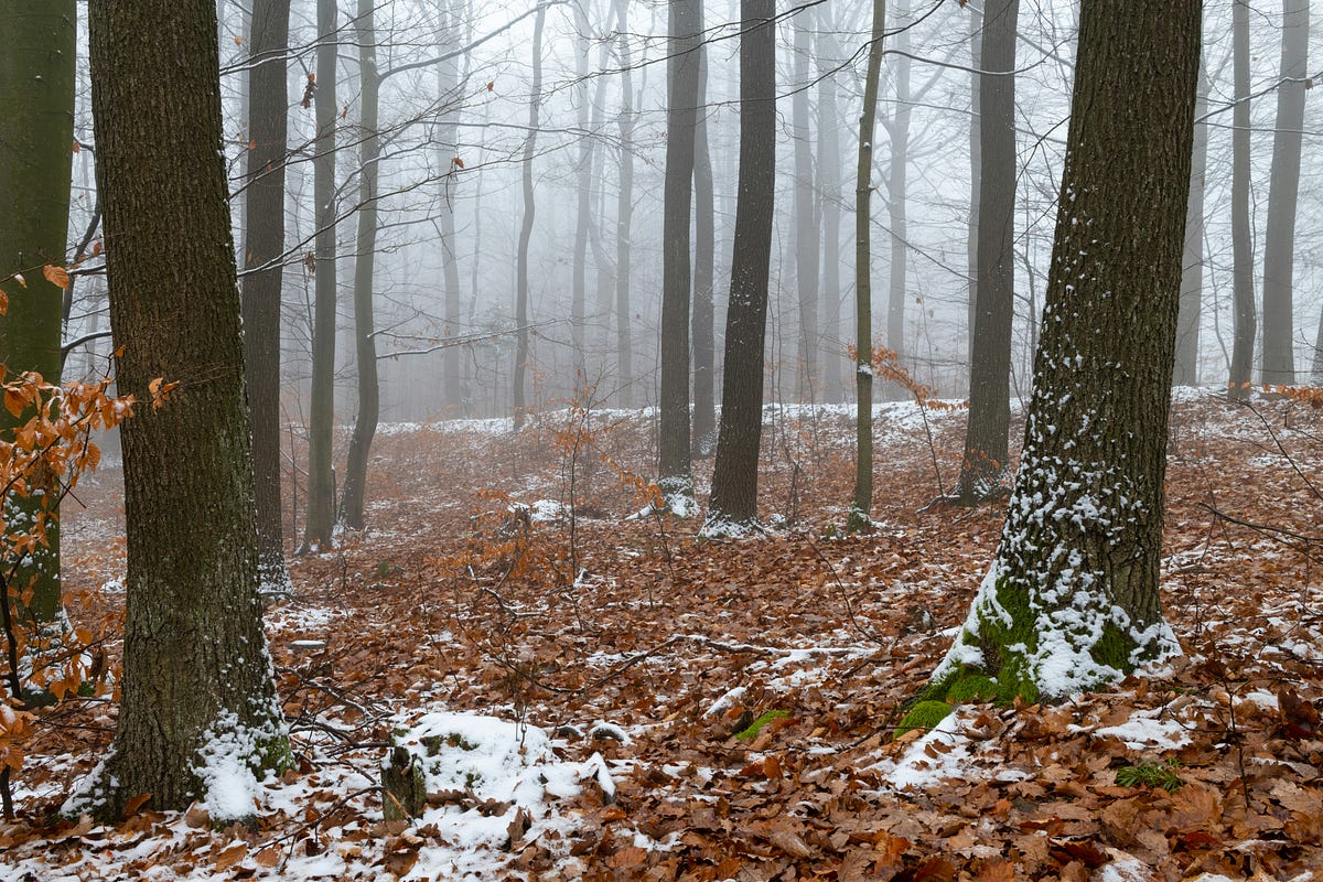 My personal AI winter. Or autumn? | by DAPPER works on Medium ...
