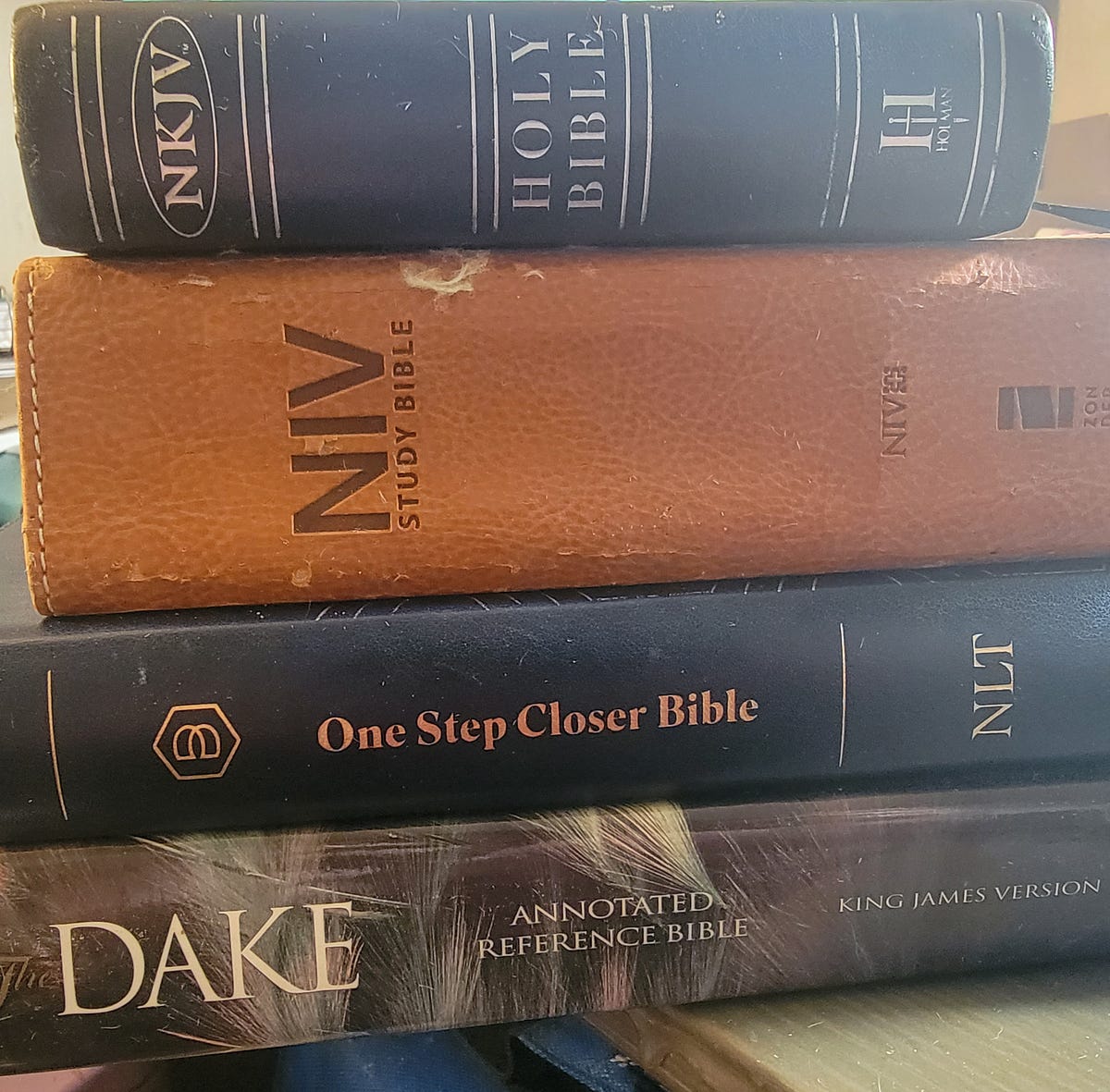 The Importance of Utilizing Different Versions of the Bible | by ...