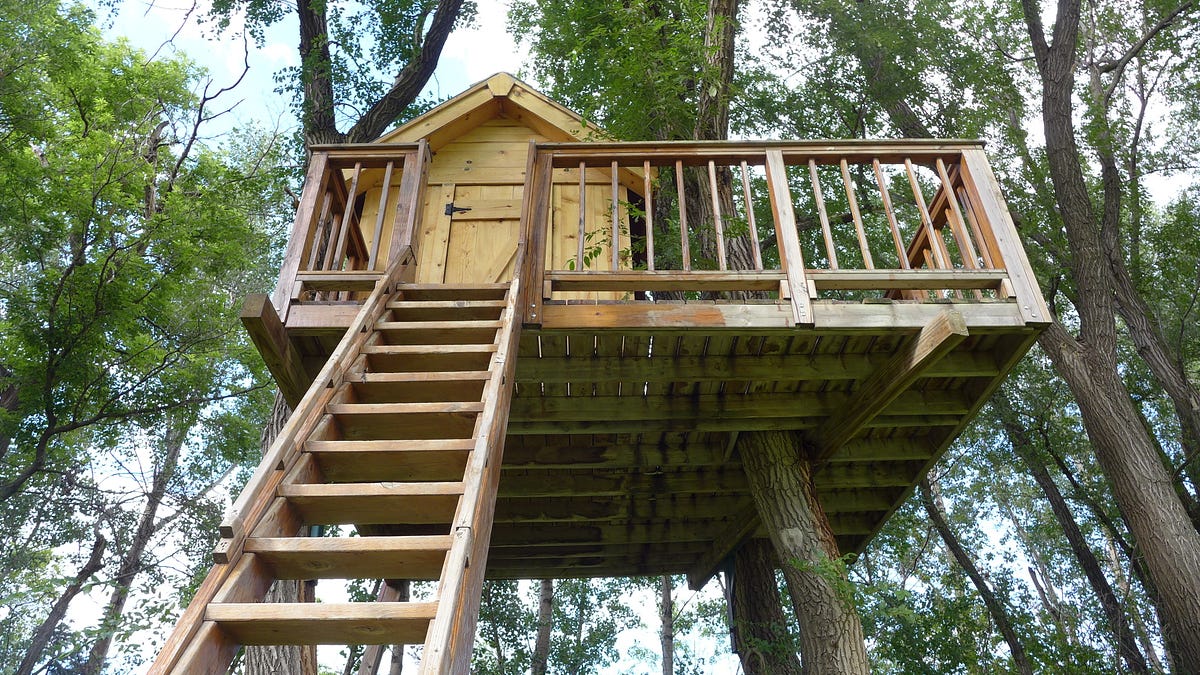 The Best Trees For Building Treehouses | by Sara Thompson | Medium