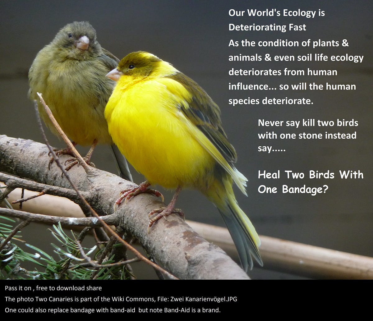 Heal Two Birds With One Bandage. Life for many species on land, soil ...