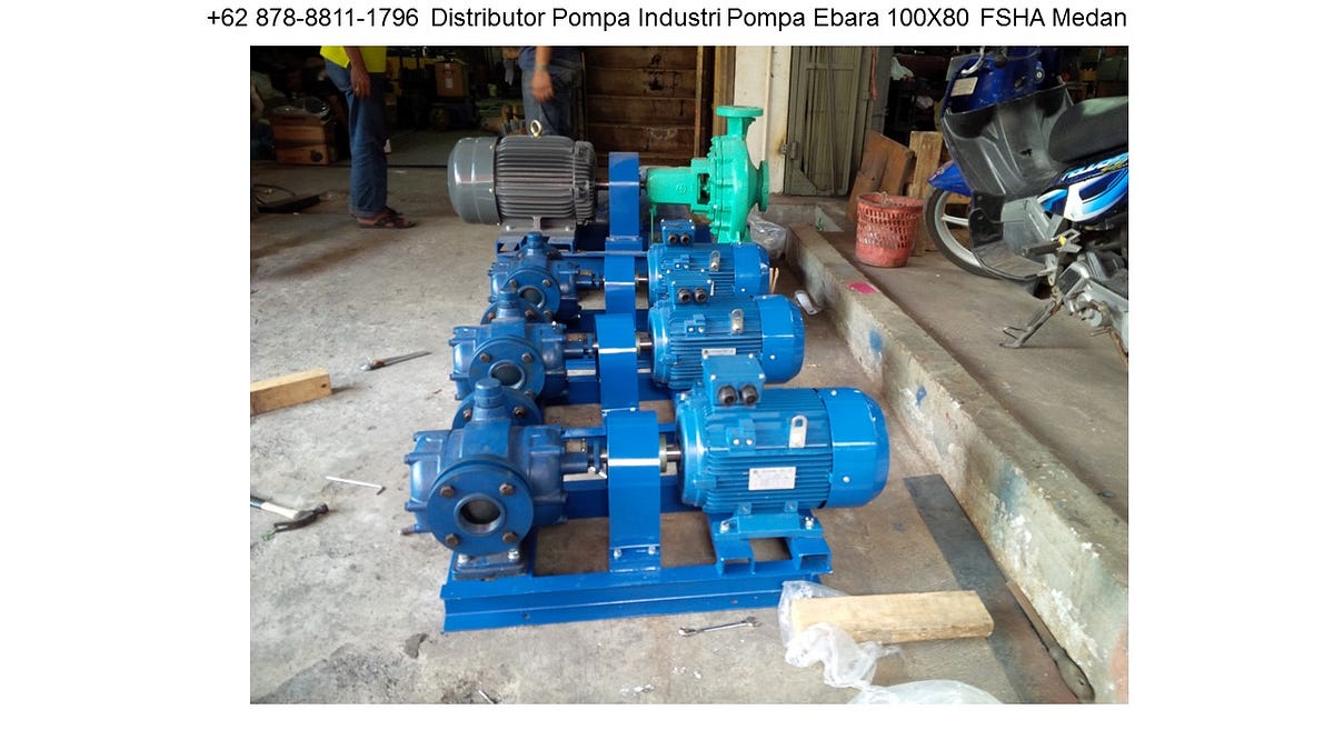 Ebara Pump Distributor Uae at Archie Cowley blog