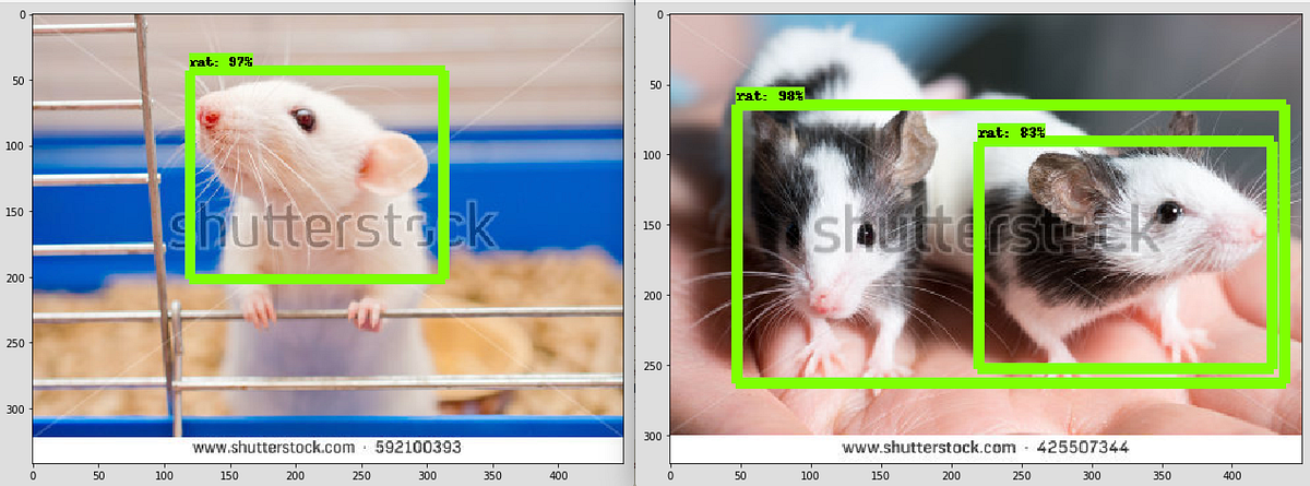 Part 2 of 3: Modelling — Transfer learning using tensorflow’s object ...