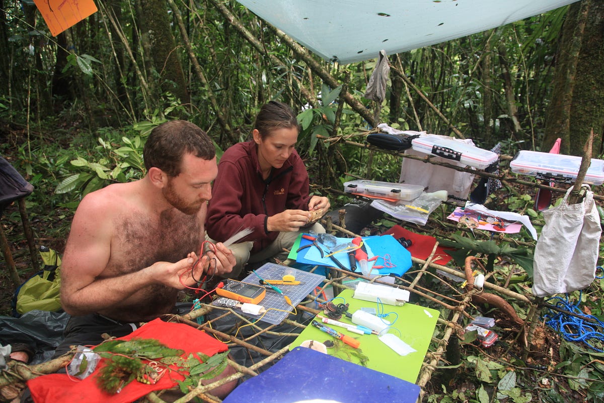 The Digital Naturalist. Andrew Quitmeyer shares his hard-earned… | by ...