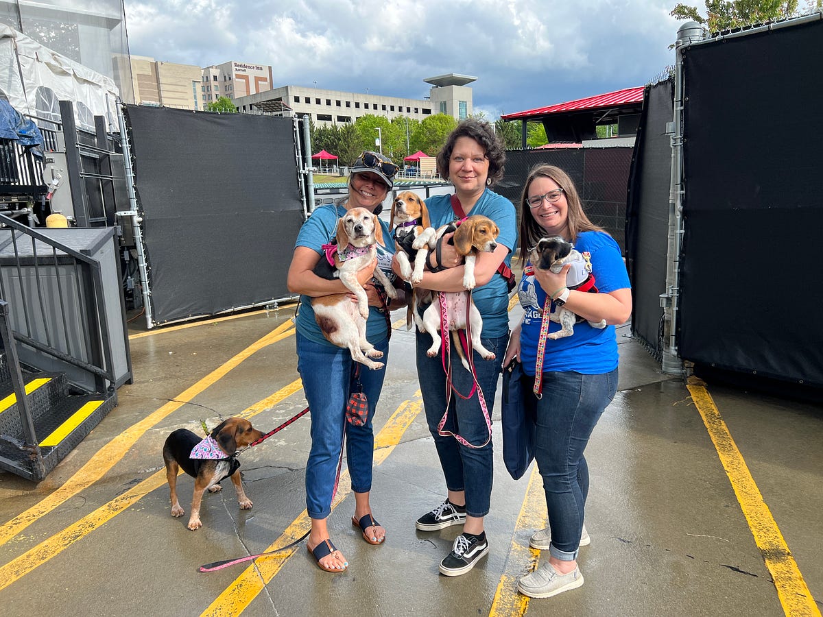 Hospice Foster Susie’s Rock n’ Roll Adventure | by Triangle Beagle ...