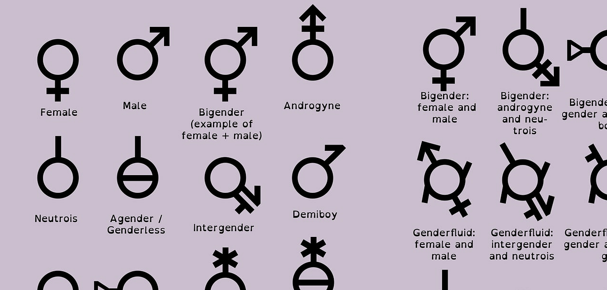 The Dangerous Philosophy of 63 Genders | by Greg Ganues | Medium