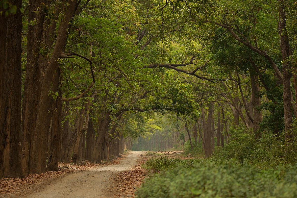 In Conversation With Rohit Varma — Entrepreneur and Photographer Par ...