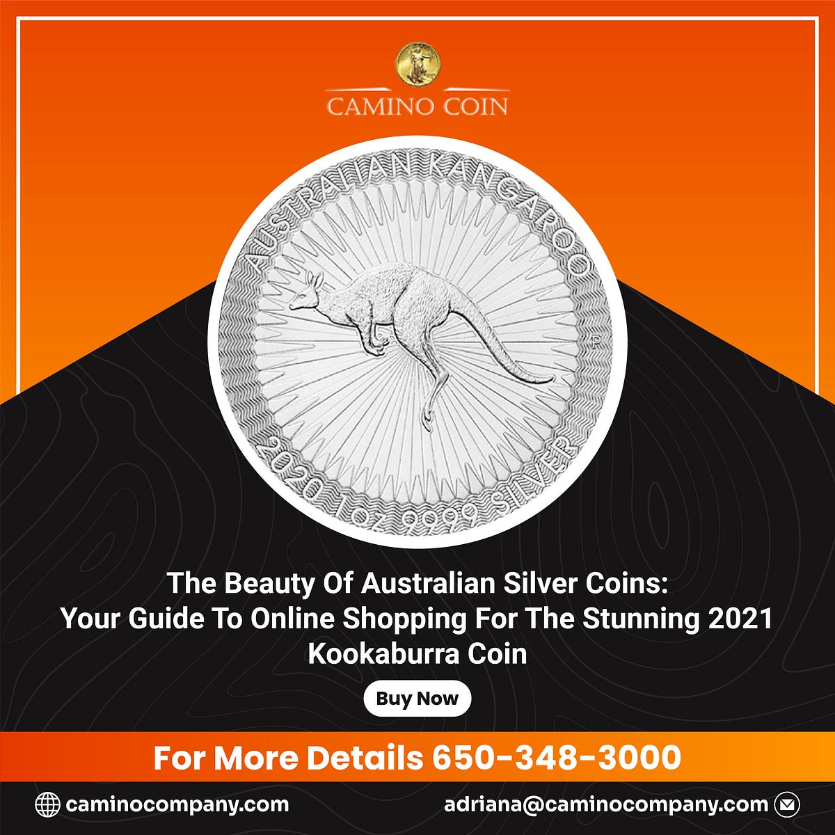 The Beauty of Australian Silver Coins: Your Guide to Online Shopping ...