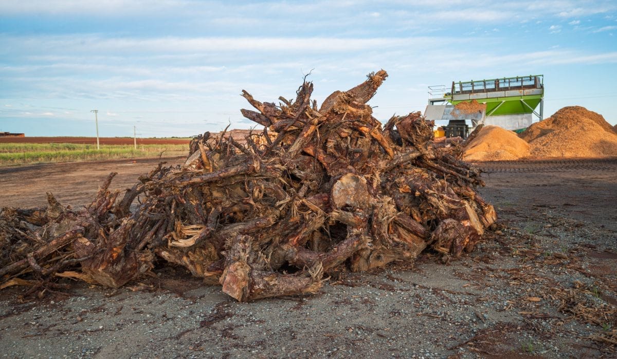 What Is The Output Size Of Wood Pellets Produced By a Wood Pellet Equipment? | by Richi Carmen ...