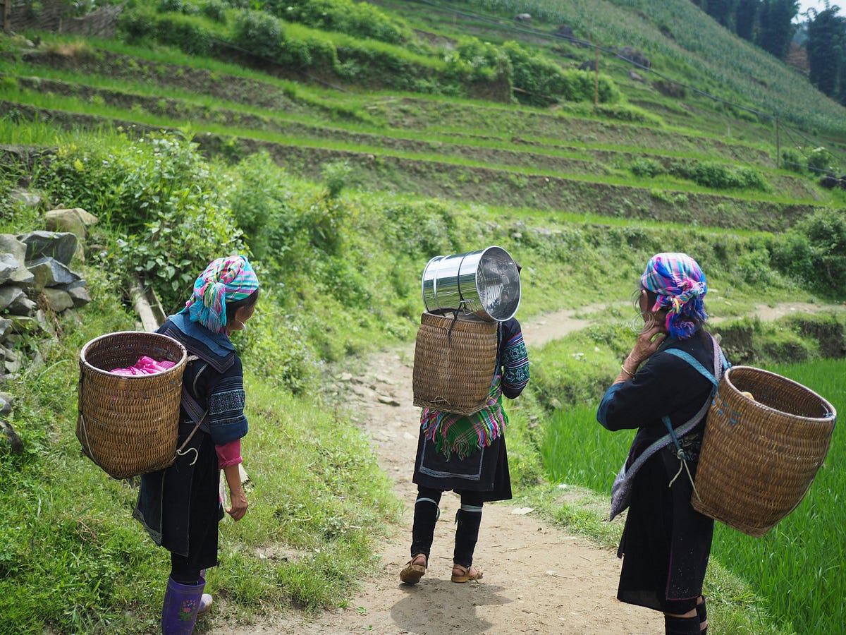 Beyond the Fields: A Call for Rural Women’s Empowerment | by Verse For ...