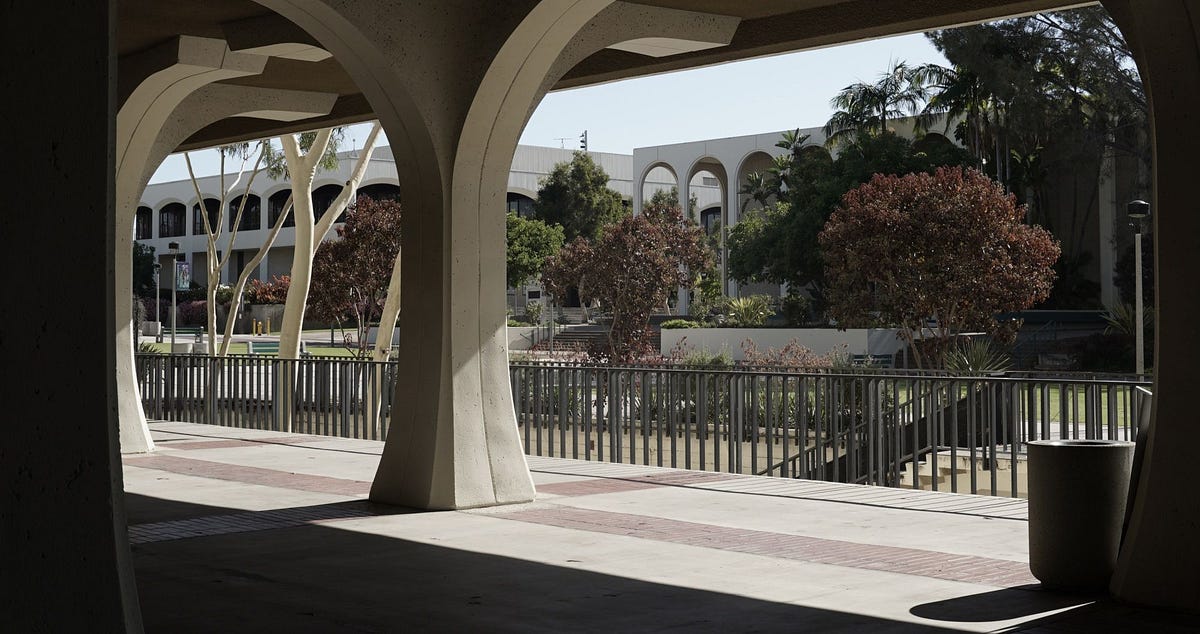 Startups Tap a New Talent Pool: Pandemic-Weary College Students | by ...