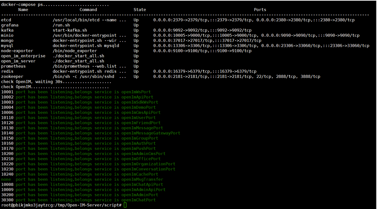 Open-IM-server: empowering seamless communication with an open-source messaging solution | by ...