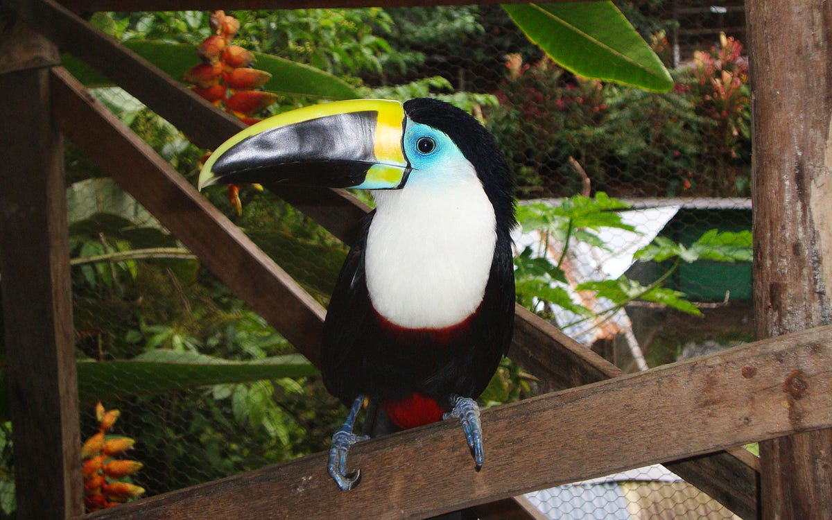 Sssssh It’s a Secret… Secret Ecuador! | by Ailola | Medium