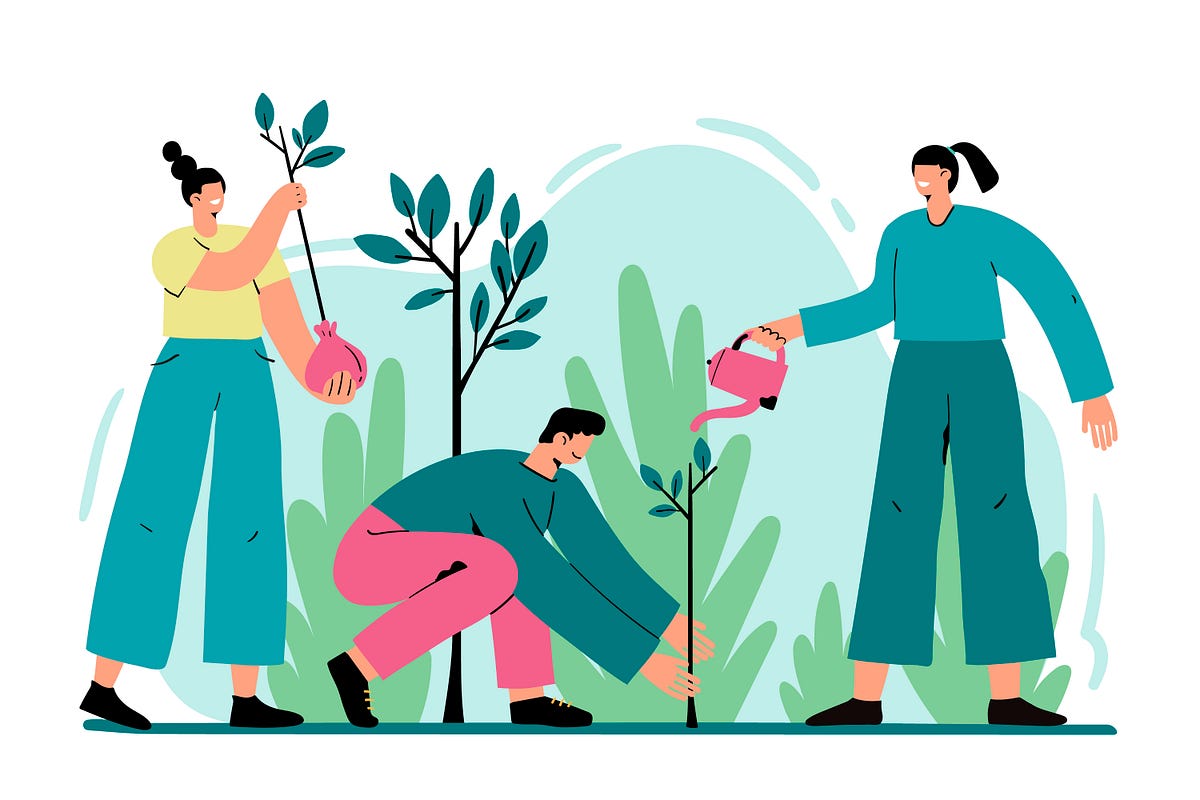 3 Ways Tree-Planting Initiatives Can Fail | by Terra Palss | Medium