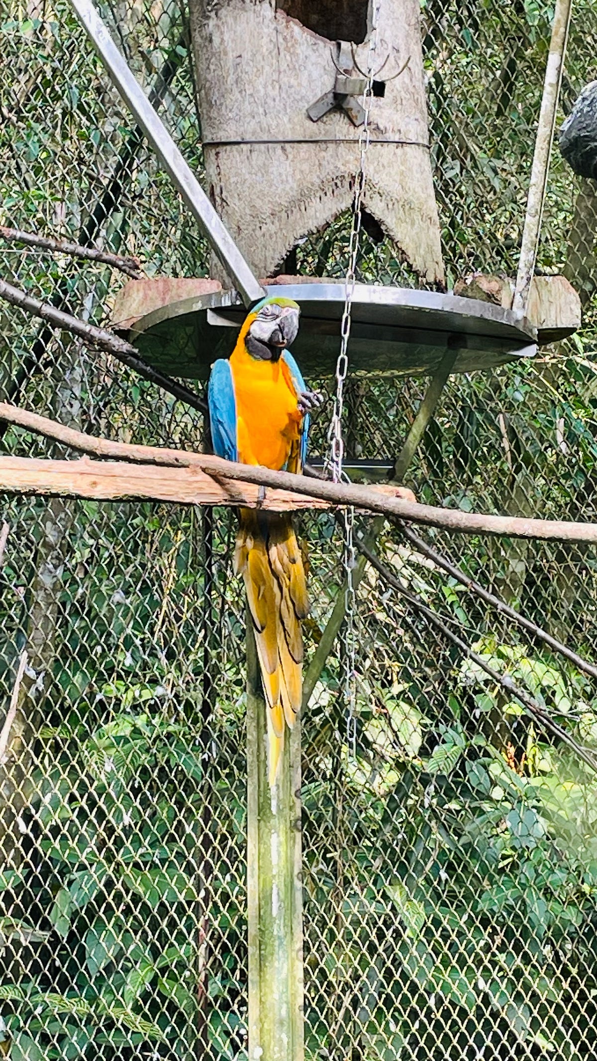 Amusing April Days. 10 Random Questions: Are you ready to… | by Katy Lin | Read or Die! | Apr ...