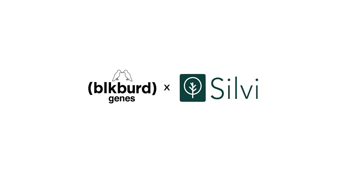 Blkburd Genes and Silvi Announce Collaboration to Support Reforestation Efforts in Kakamega ...
