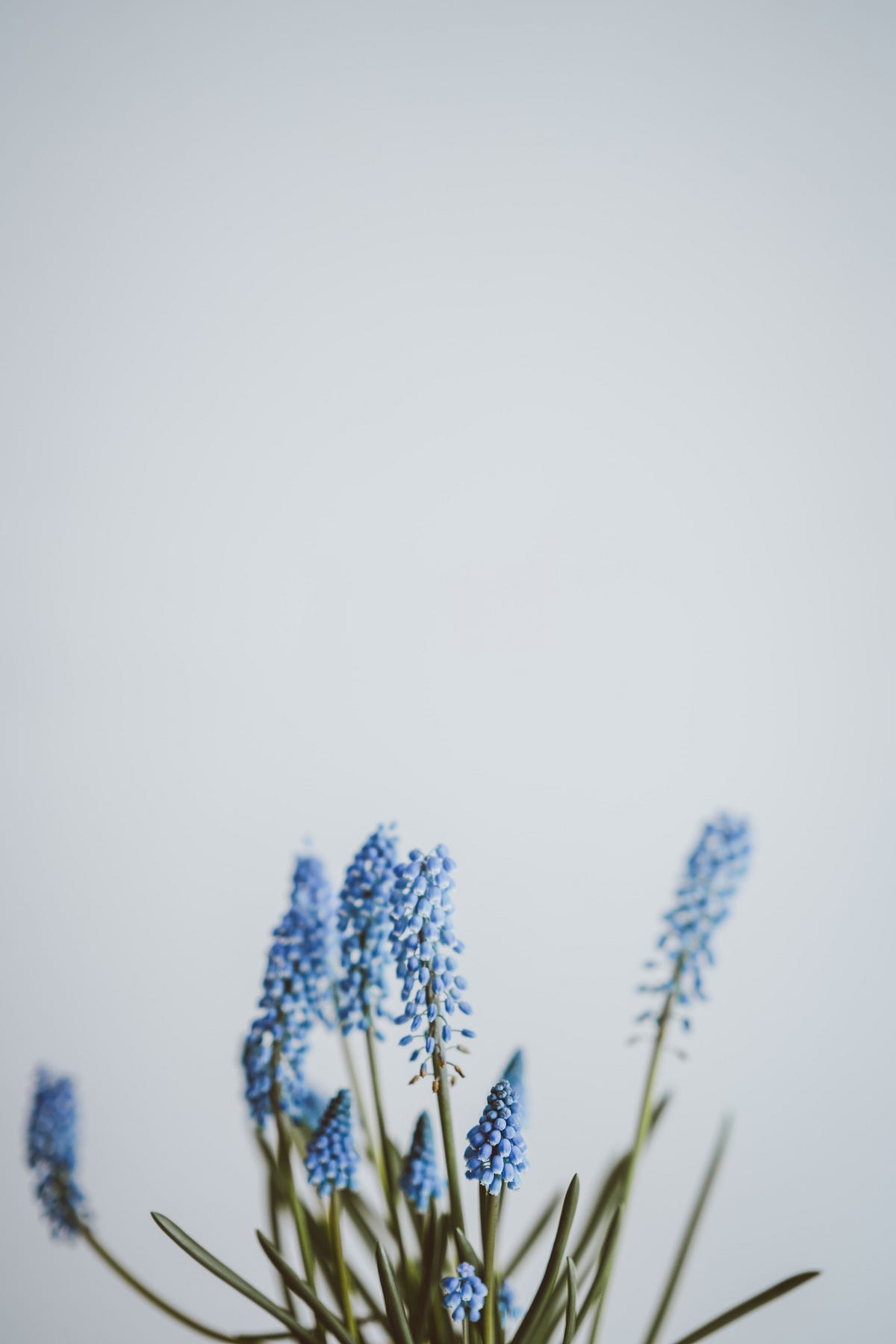 The Cluttered Thoughts. A Poem | by Priyanka Srivastava | ILLUMINATION ...