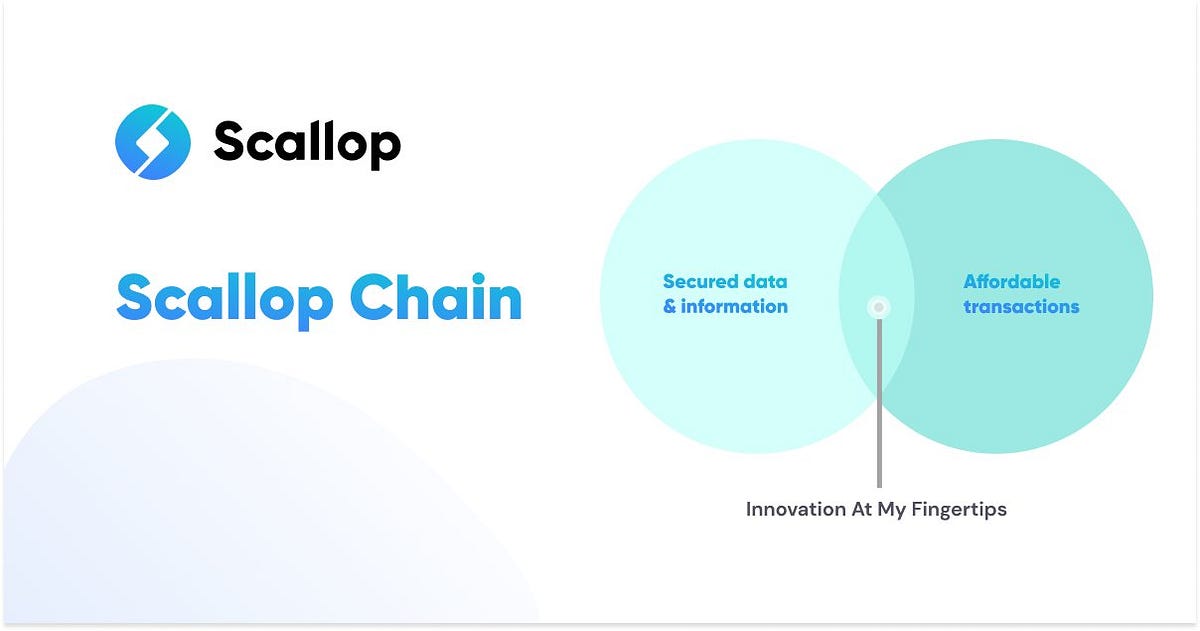 SCALLOP CHAIN. One product the whole Crypto and… | by Cujo | Medium