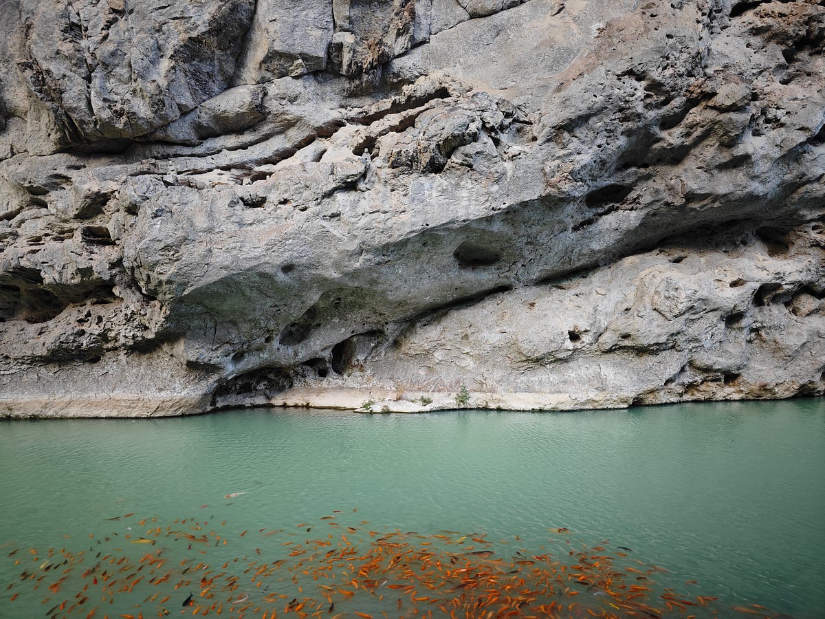 Understanding Reinforcement Learning from Human Feedback (RLHF): Theory and the Mechanism. | by ...