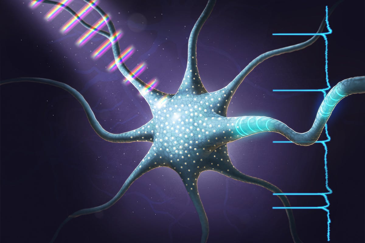 Optogenetics: The Future of Brain Control | by Mohamed Gaber Sayed ...