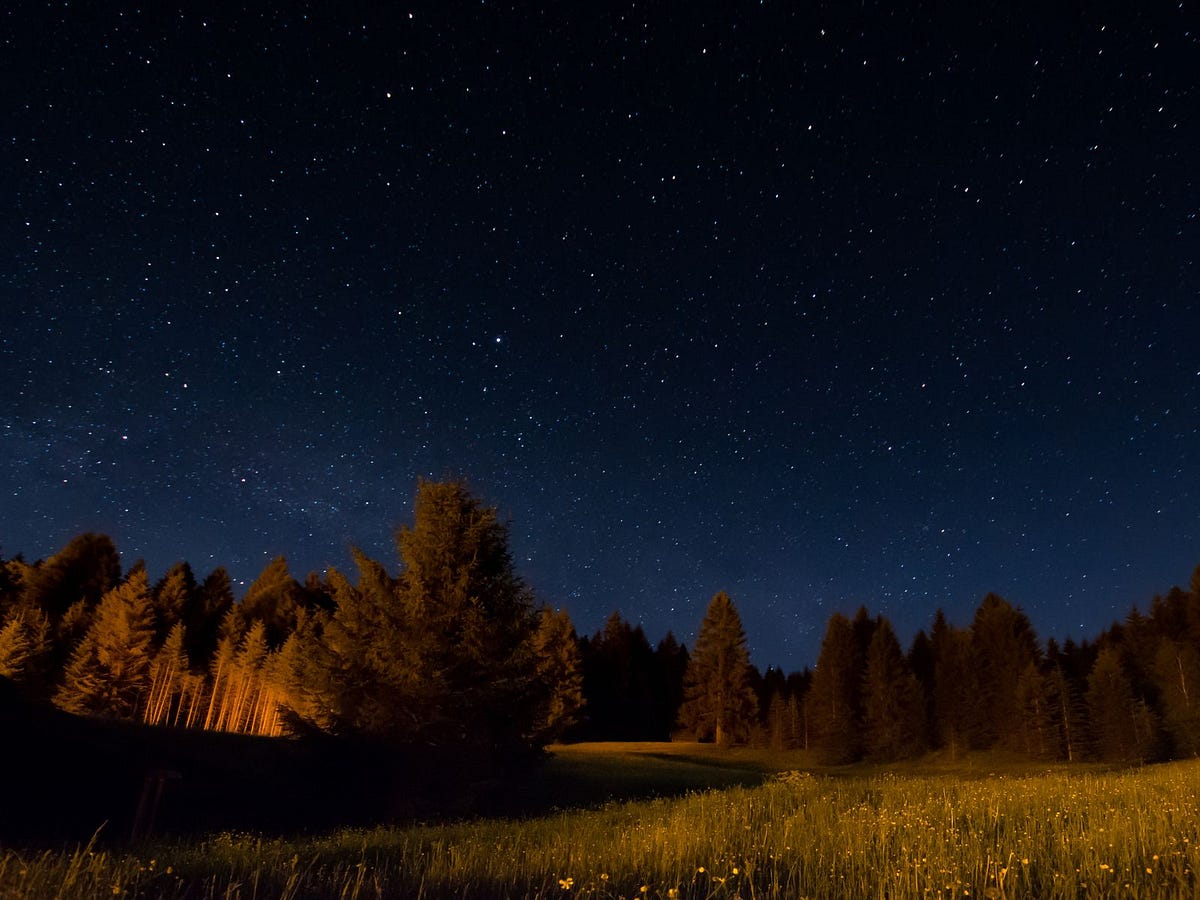 Meet Me in the Meadow. Our secret tradition | by Victoria Corindi 🌻 ...